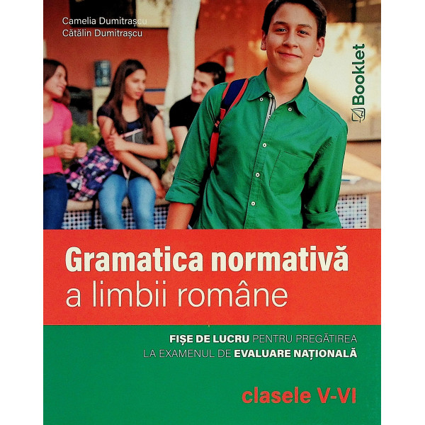 Gramatica normativa a limbii romane, clasele V-VI - Fise de lucru ...